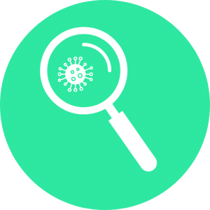 Mold Inspections | Tampa, FL | Tampa Bay Mold Testing