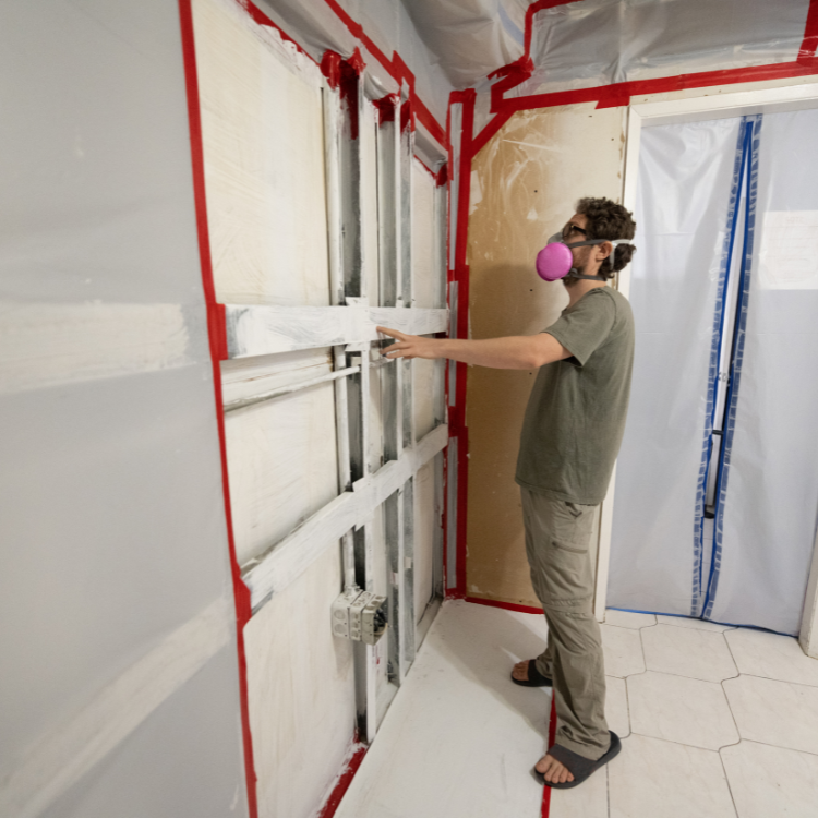 5 Surprising Places Mold is Probably Hiding in Your Home - Tampa Bay ...